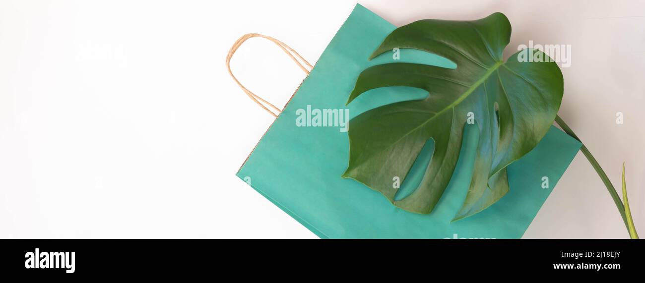 Panorama Green paper shopping bag and green monster leaf isolated on ...