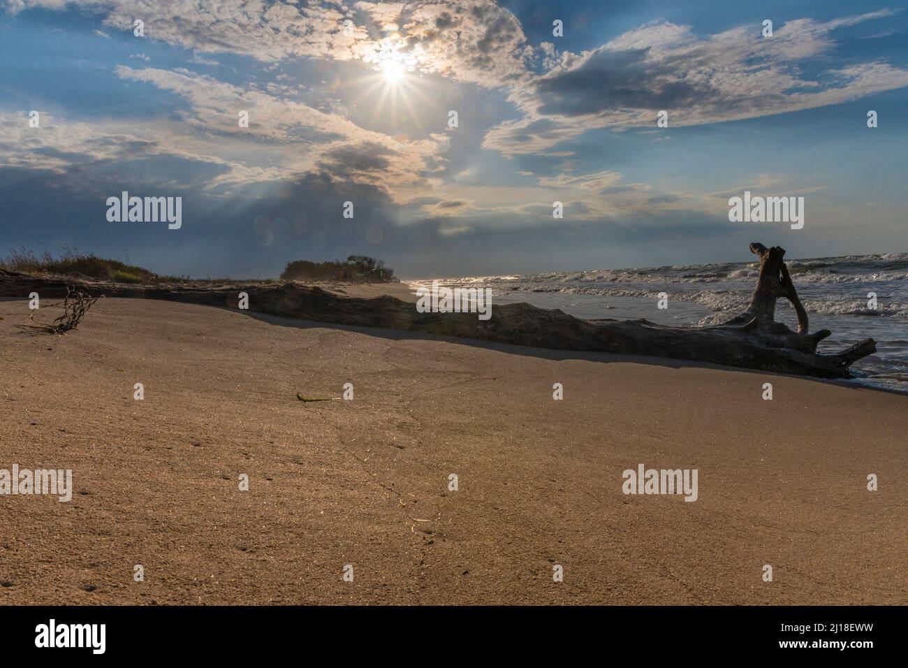 View of the sea coast with a beached log at sunset Stock Photo - Alamy