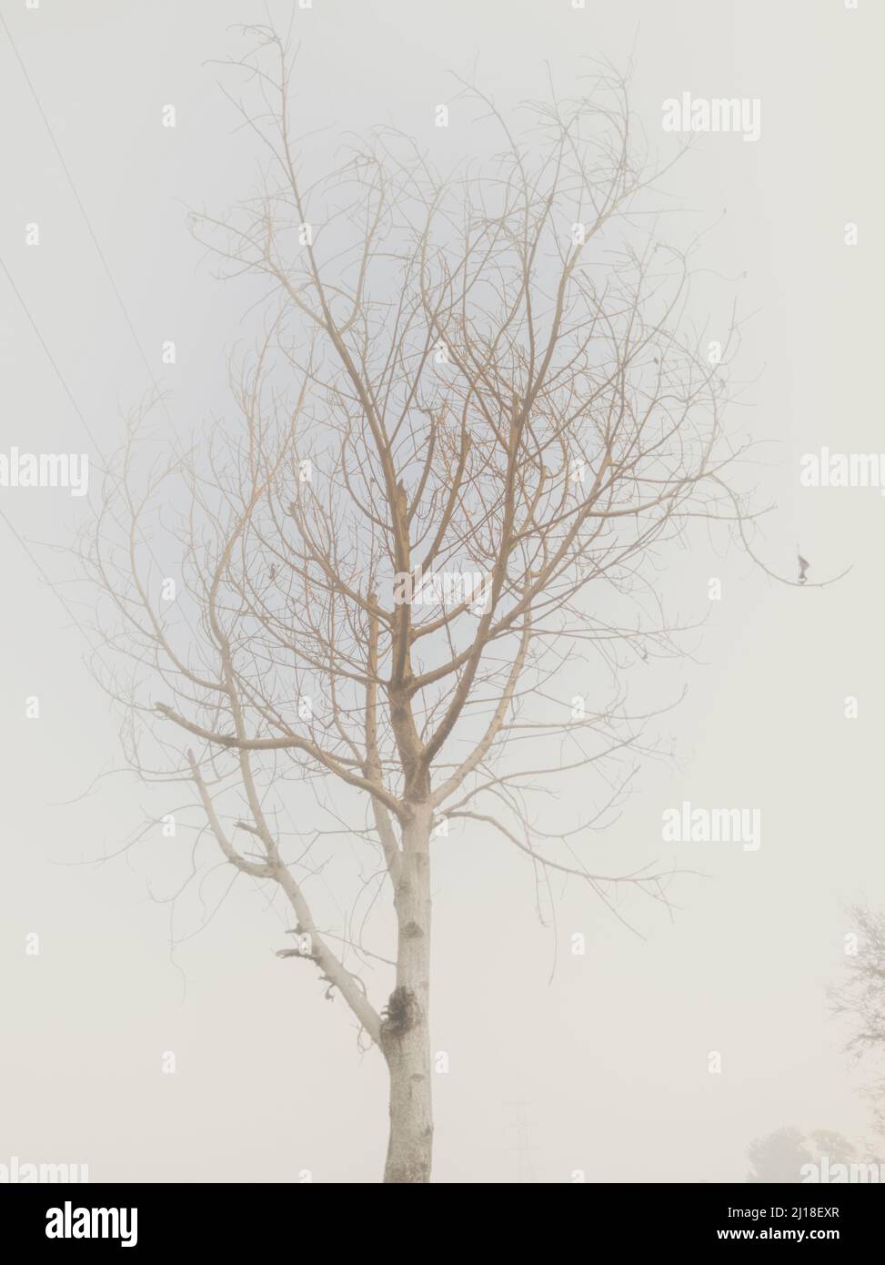 Fog pattern hi-res stock photography and images - Alamy