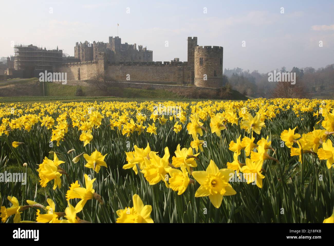 The fusiliers museum of northumberland hi-res stock photography and ...