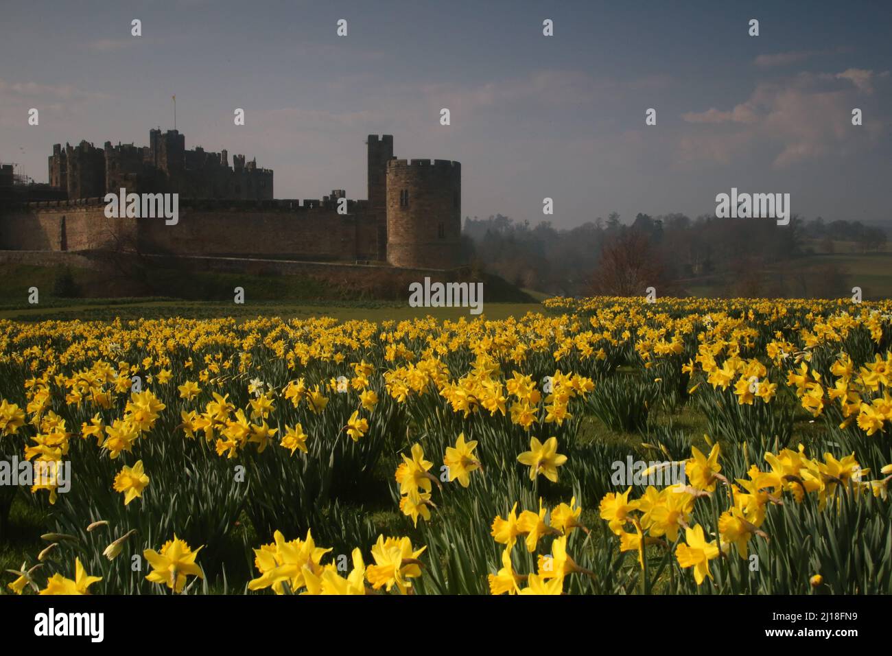 Duke of northumbeland hi-res stock photography and images - Alamy