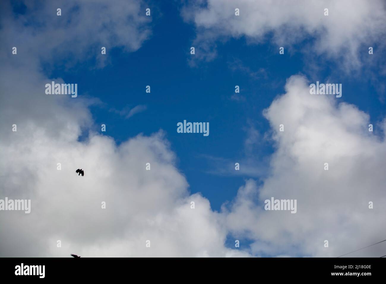 Summer travel white background hi-res stock photography and images - Alamy