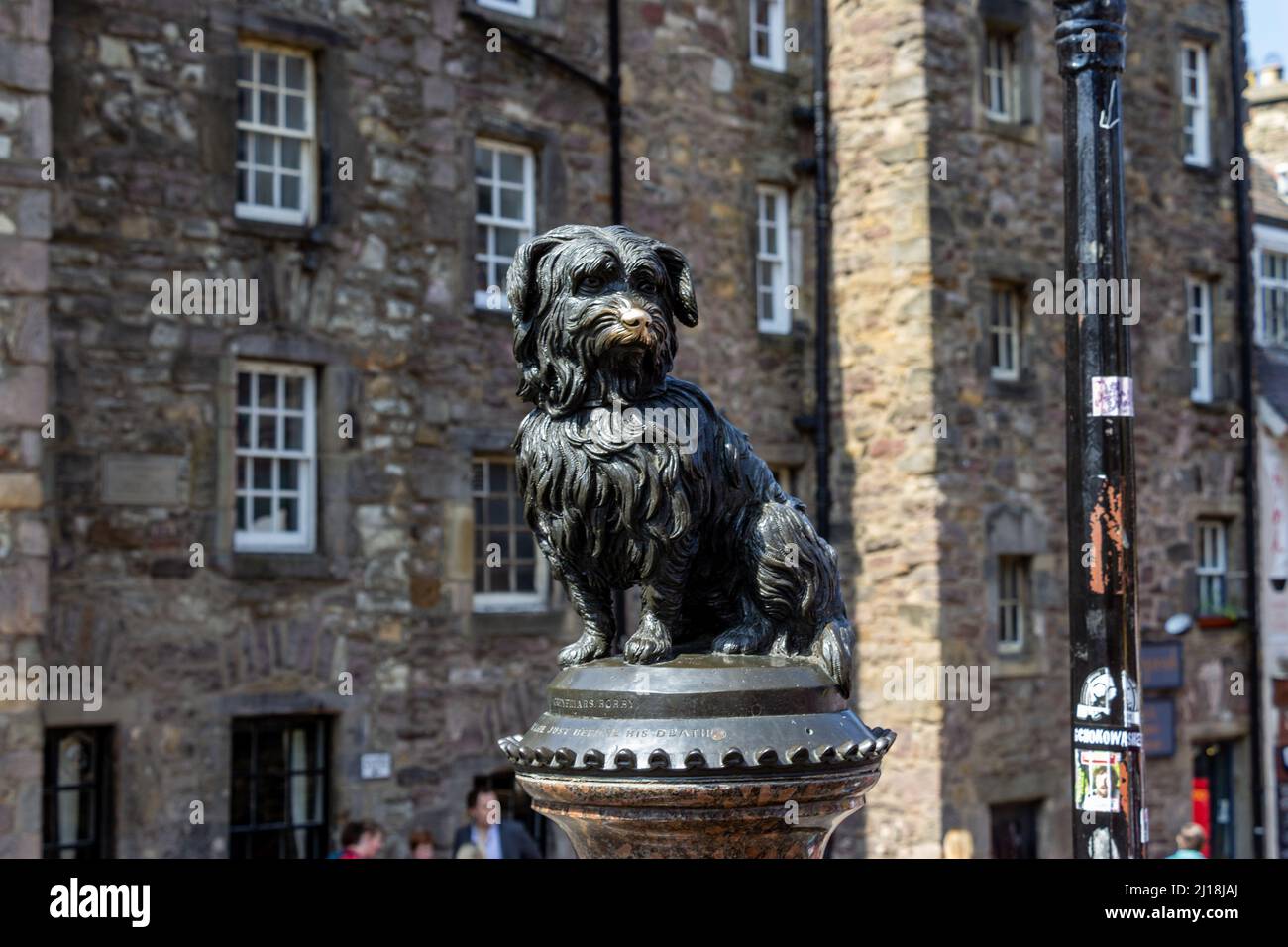 A closeup of the Greyfriars Bobby dog Statue in Edinburgh, Scotland, UK ...