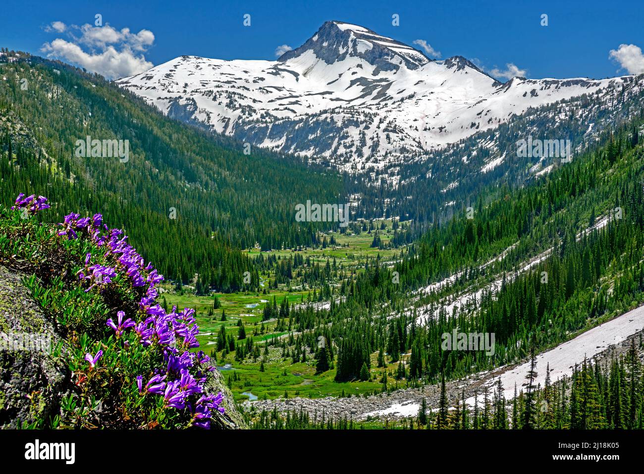Eagle Cap Mountain and East Fork Lostine River in Eagle Cap Wilderness ...