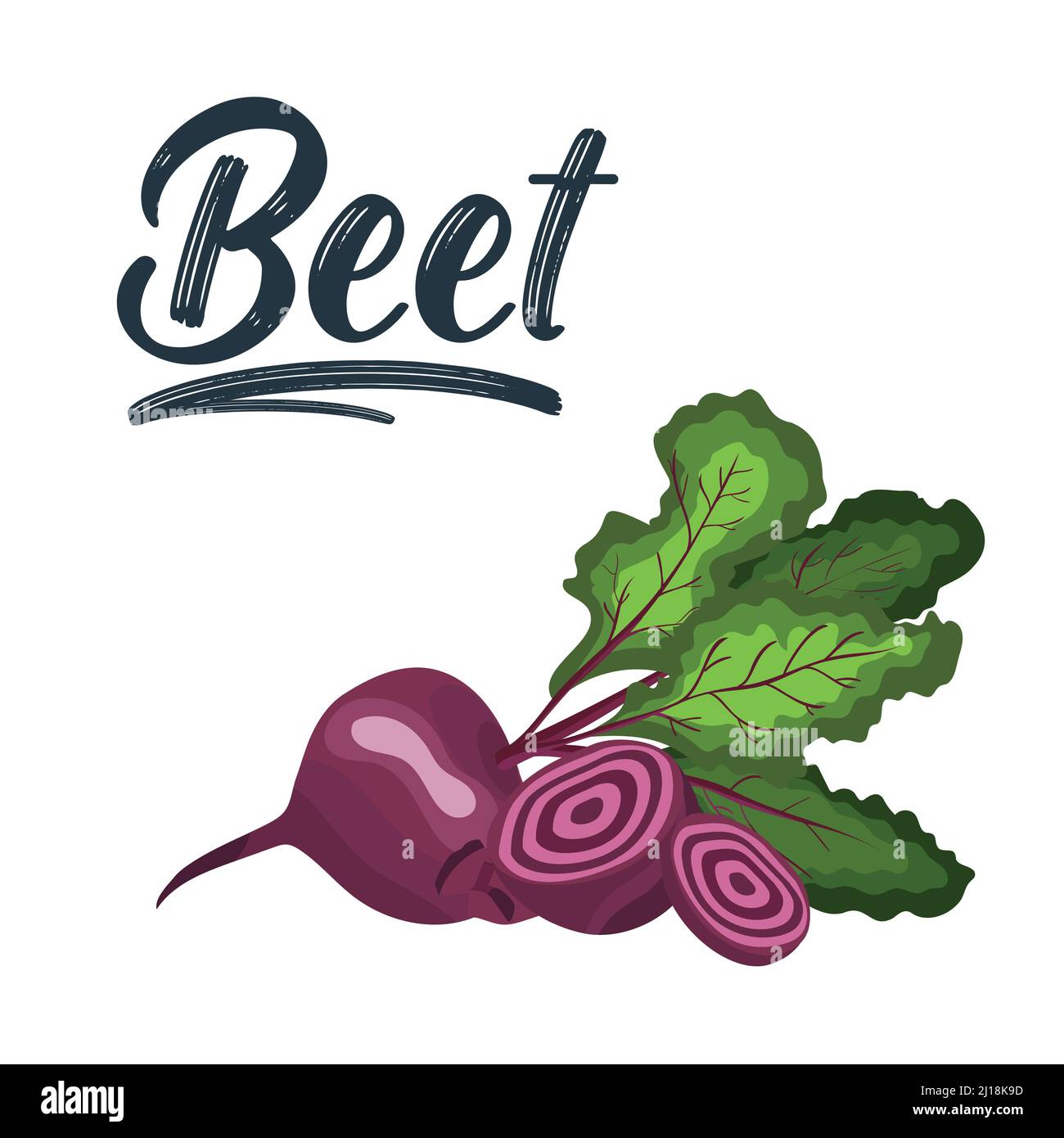 Ripe red beets with green leaves. Card, banner, sticker, poster, print ...