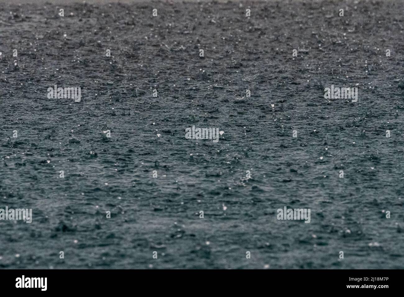 Beautiful closeup view of heavy rain drops in rainy season Stock Photo ...