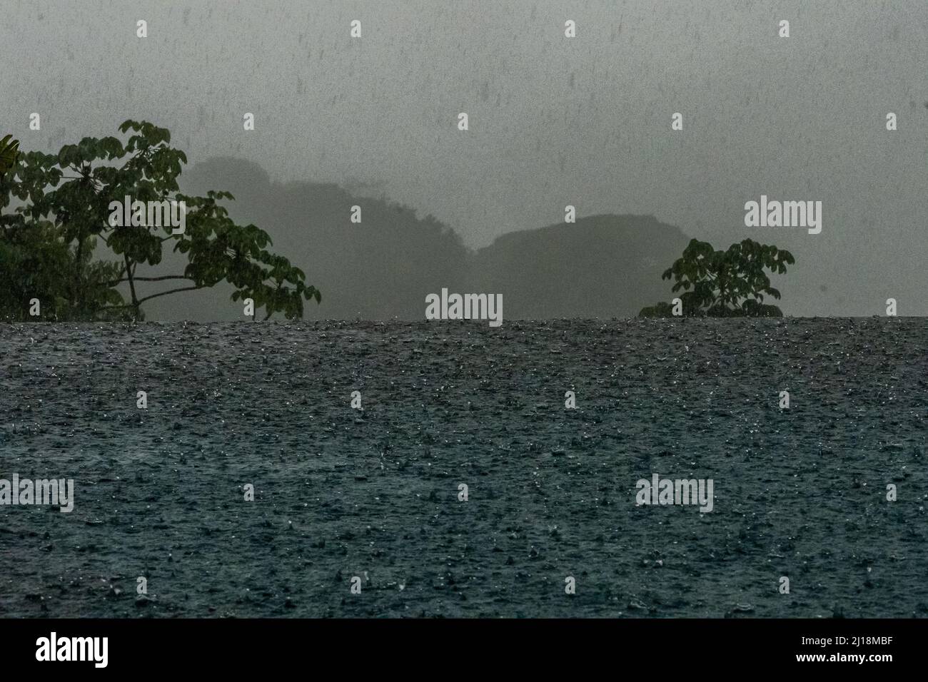 Beautiful closeup view of heavy rain drops in rainy season Stock Photo ...