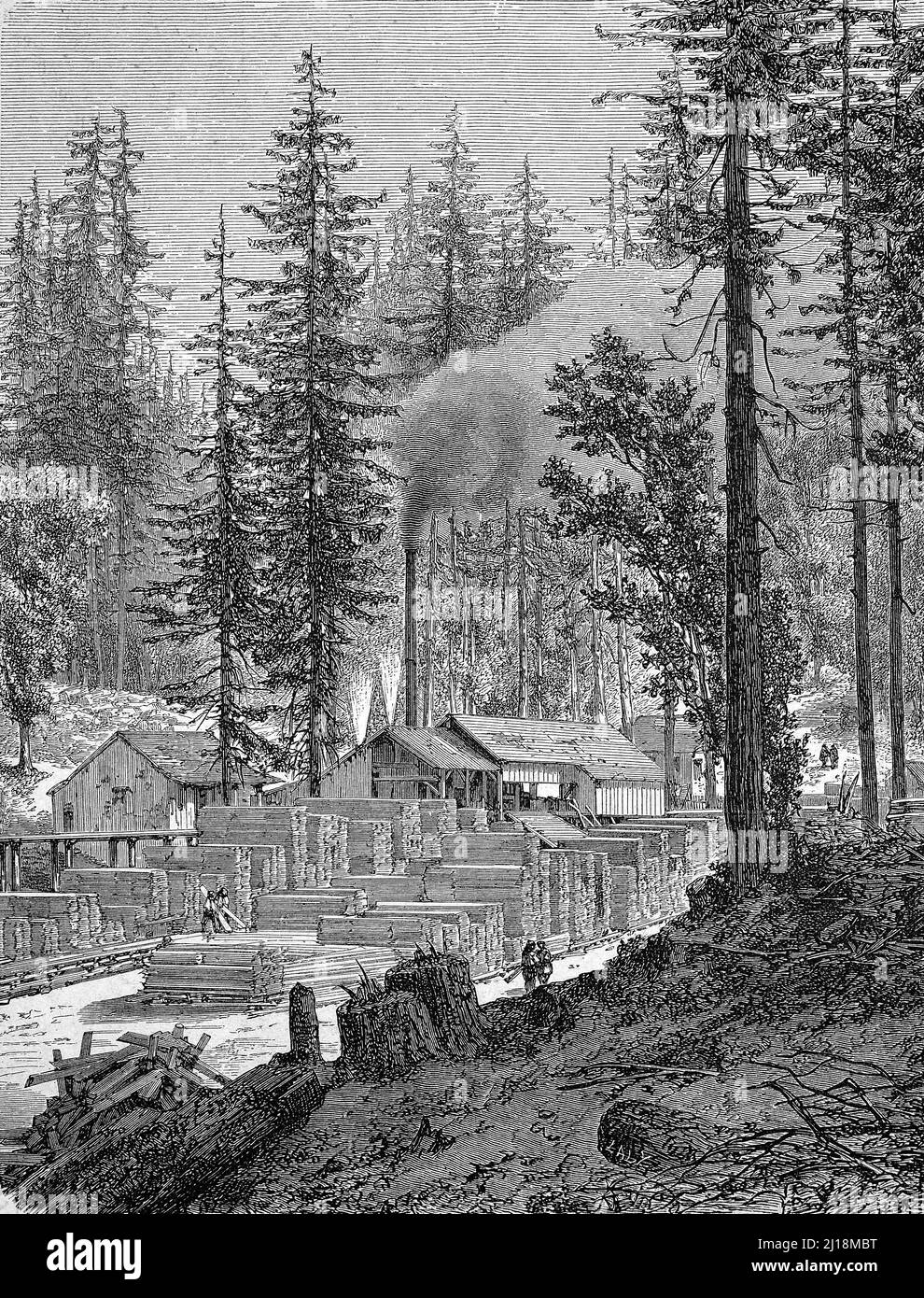 19th century sawmill california hi-res stock photography and images - Alamy