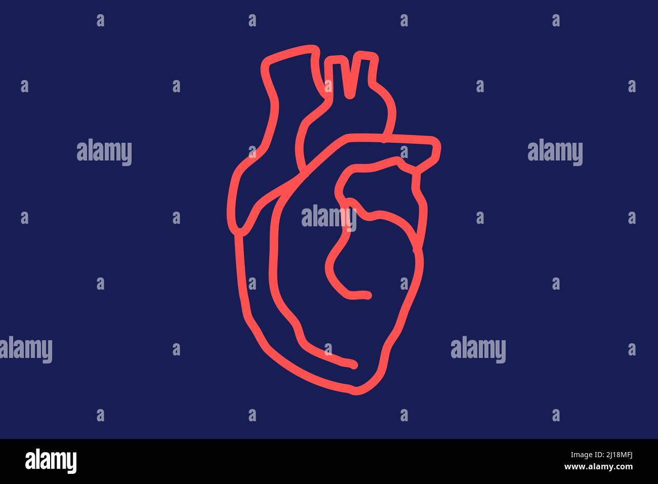 Heart organ illustration. Human heart anatomy line art color icon ...