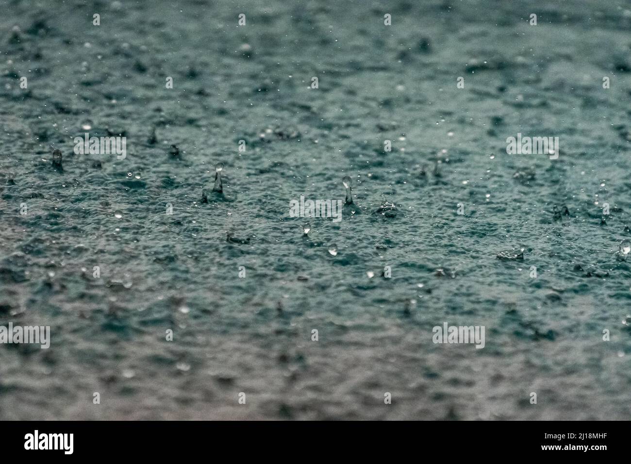 Beautiful closeup view of heavy rain drops in rainy season Stock Photo ...
