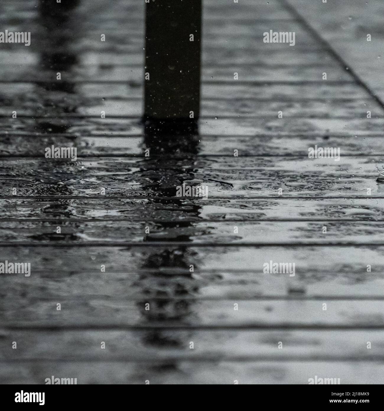 Beautiful closeup view of heavy rain drops in rainy season Stock Photo - Alamy