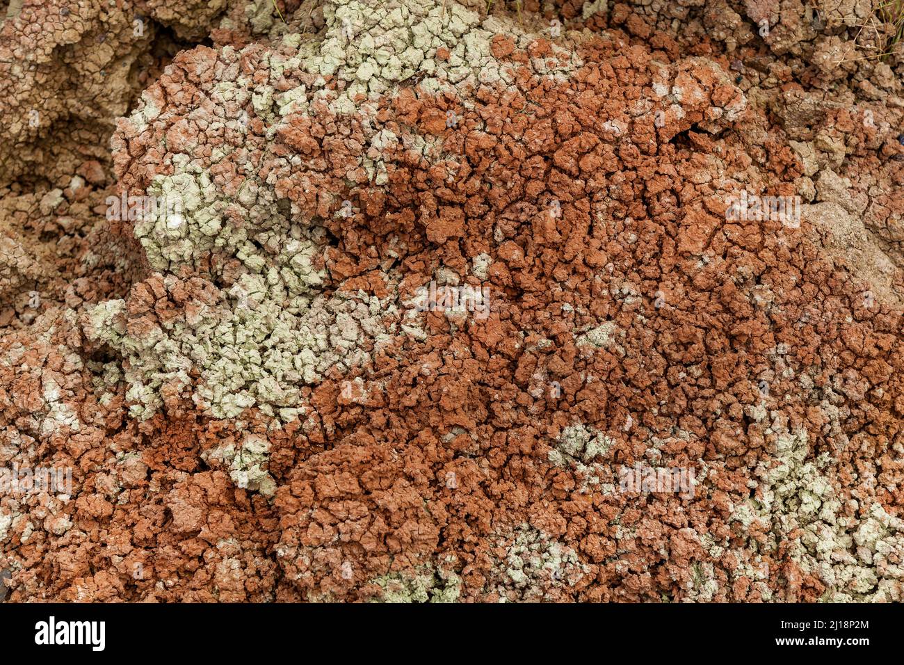 Texture of dry multicolored earth with small cracks. The effects of ...