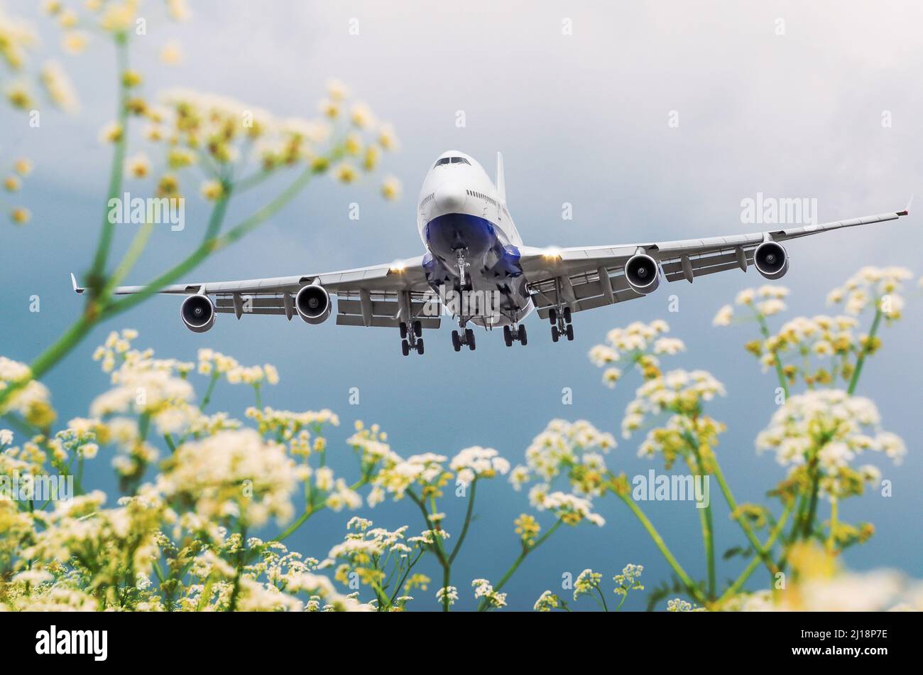 Passenger commercial airplane flies over flower fields at the airport ...