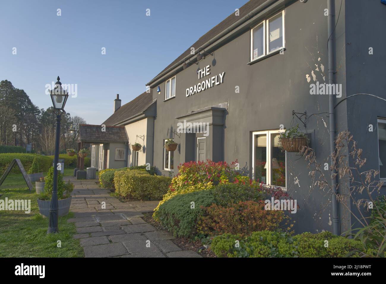 Cleppa Park celtic springs near Newport South Wales Stock Photo - Alamy