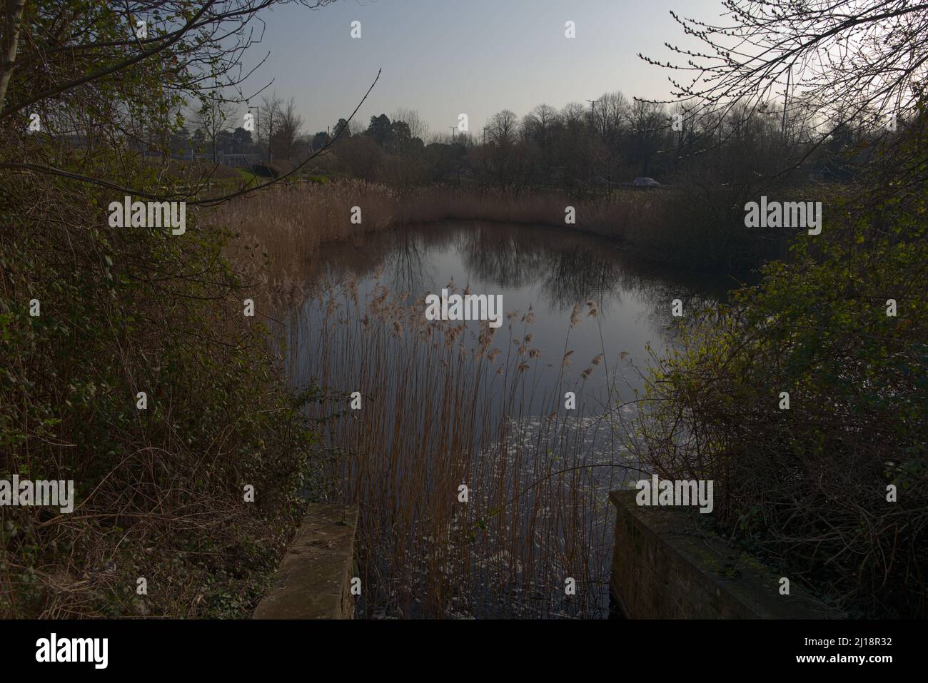 Cleppa Park celtic springs near Newport South Wales Stock Photo - Alamy