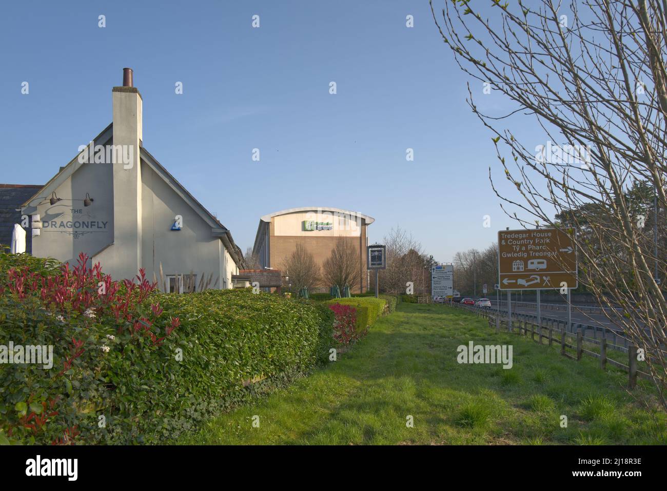 Cleppa Park celtic springs near Newport South Wales Stock Photo - Alamy