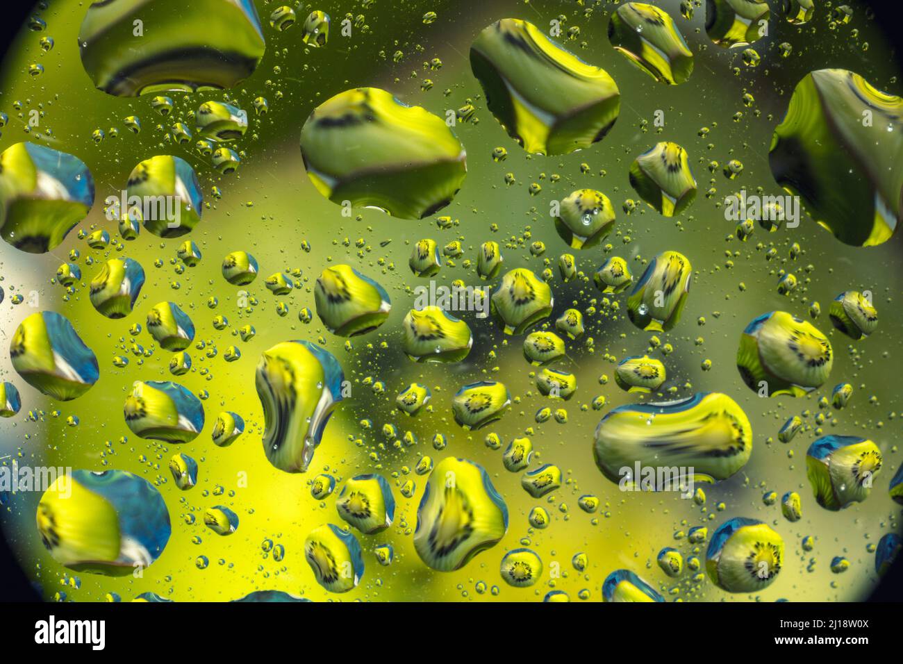 Abstract irregular water drops macro showing reflected colours Stock ...