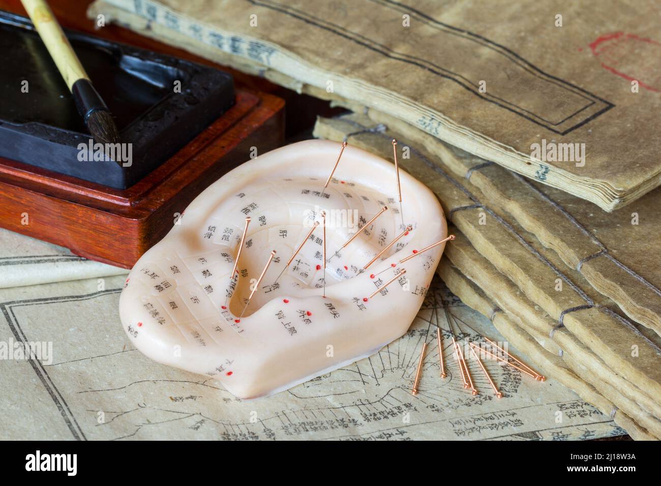 Ear model and needle for ear acupuncture with ancient medicine books at ...