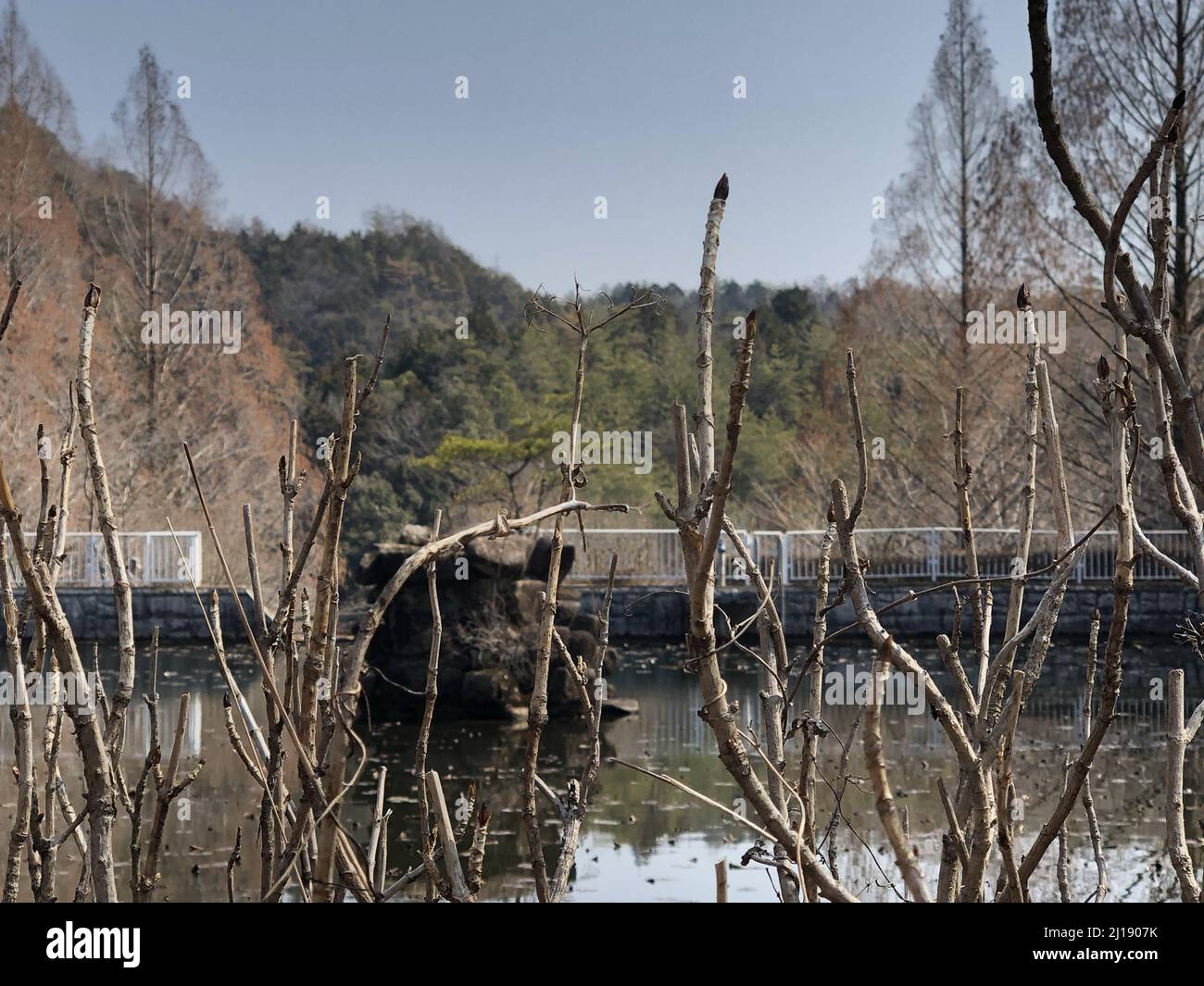 Minokamo hi-res stock photography and images - Alamy