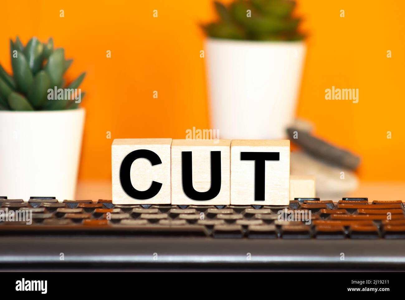 FED, Federal Reserve with interest rate cut concept, small cube block ...