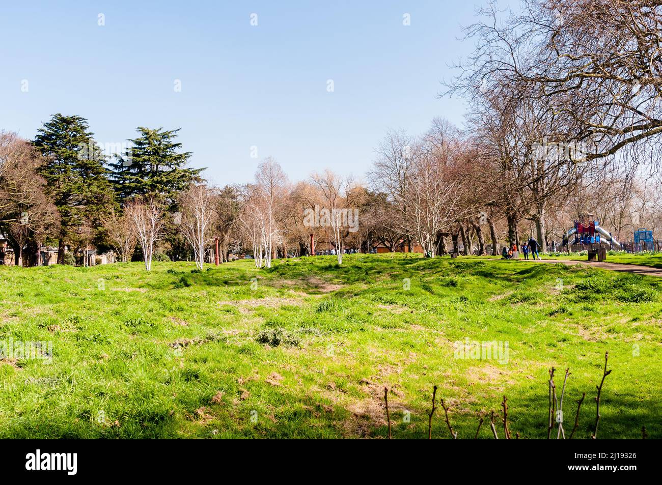 Central Park wild area, East Ham, Newham Stock Photo - Alamy