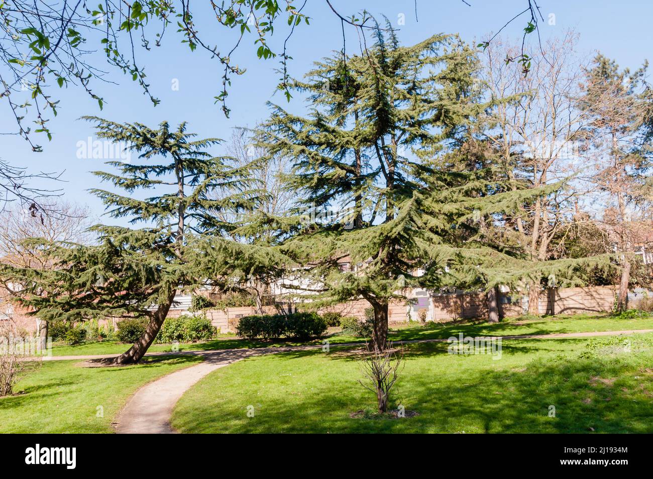 Central Park, East Ham, Newham Stock Photo - Alamy