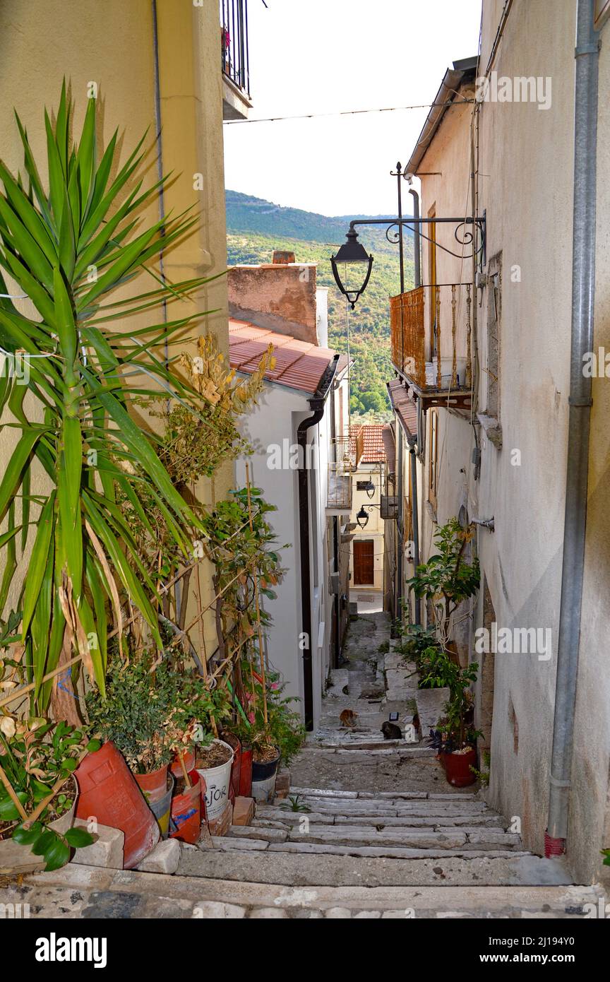 A vertical shot of a narrow street in Monteroduni, a medieval town of ...