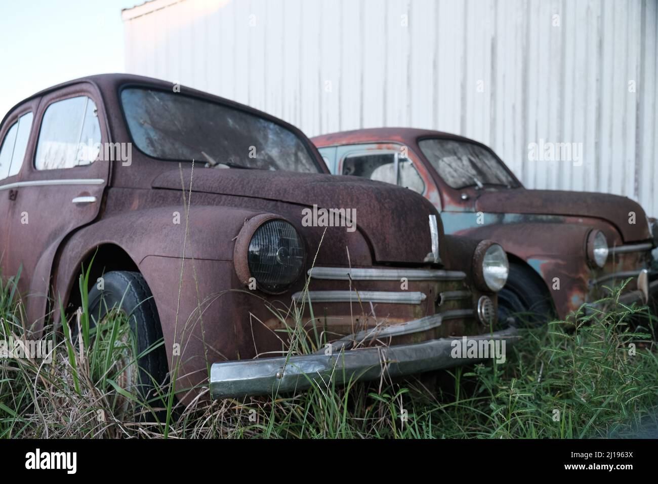 these are some old rusted classic cars in some tall grass Stock Photo ...