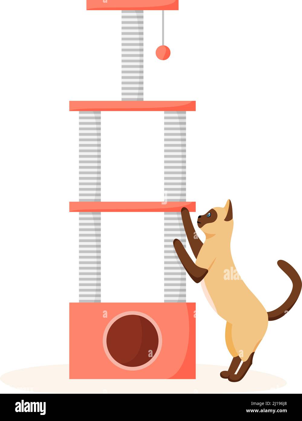 Cat tree with scratching posts. Siamese cat sharpens claws on cat tower ...