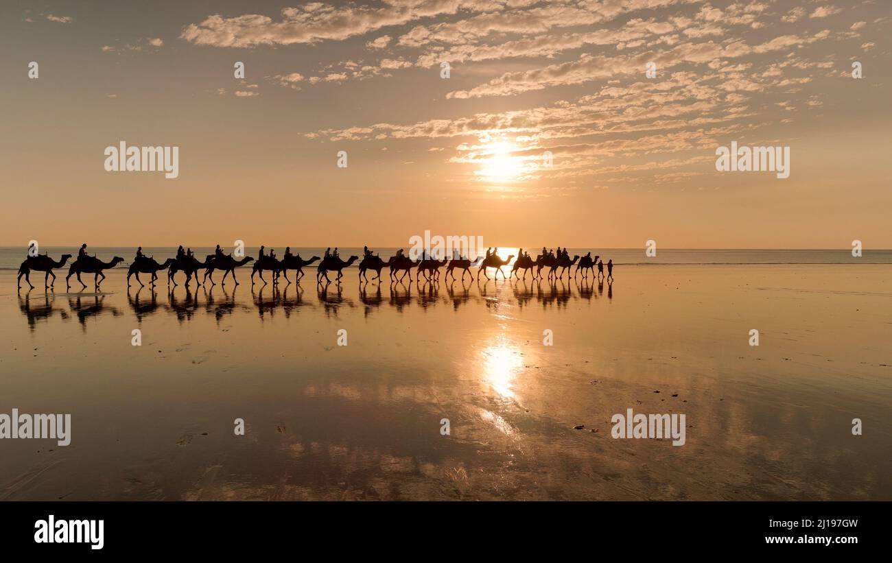 tracking clip of camel ride at sunset on cable beach in broome Stock ...