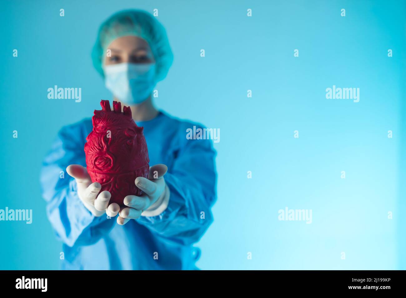 professionally dressed cardiologist holding red artificial heart model ...