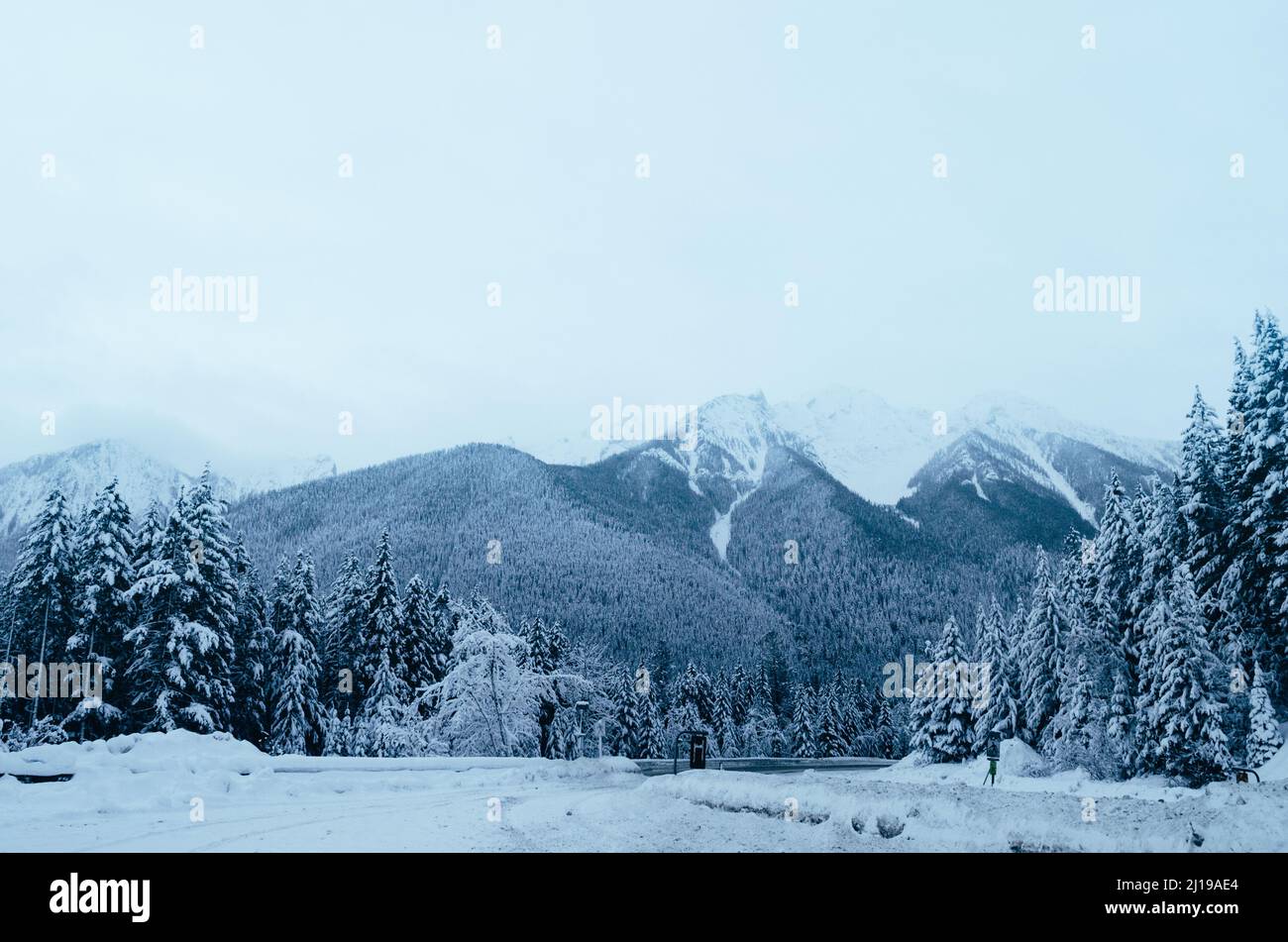 A winter landscape of mountains and alpine trees at Banff National Park ...