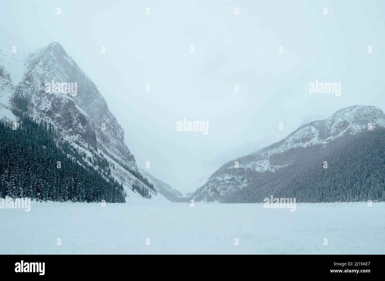 A winter landscape of mountains and alpine trees at Banff National Park ...