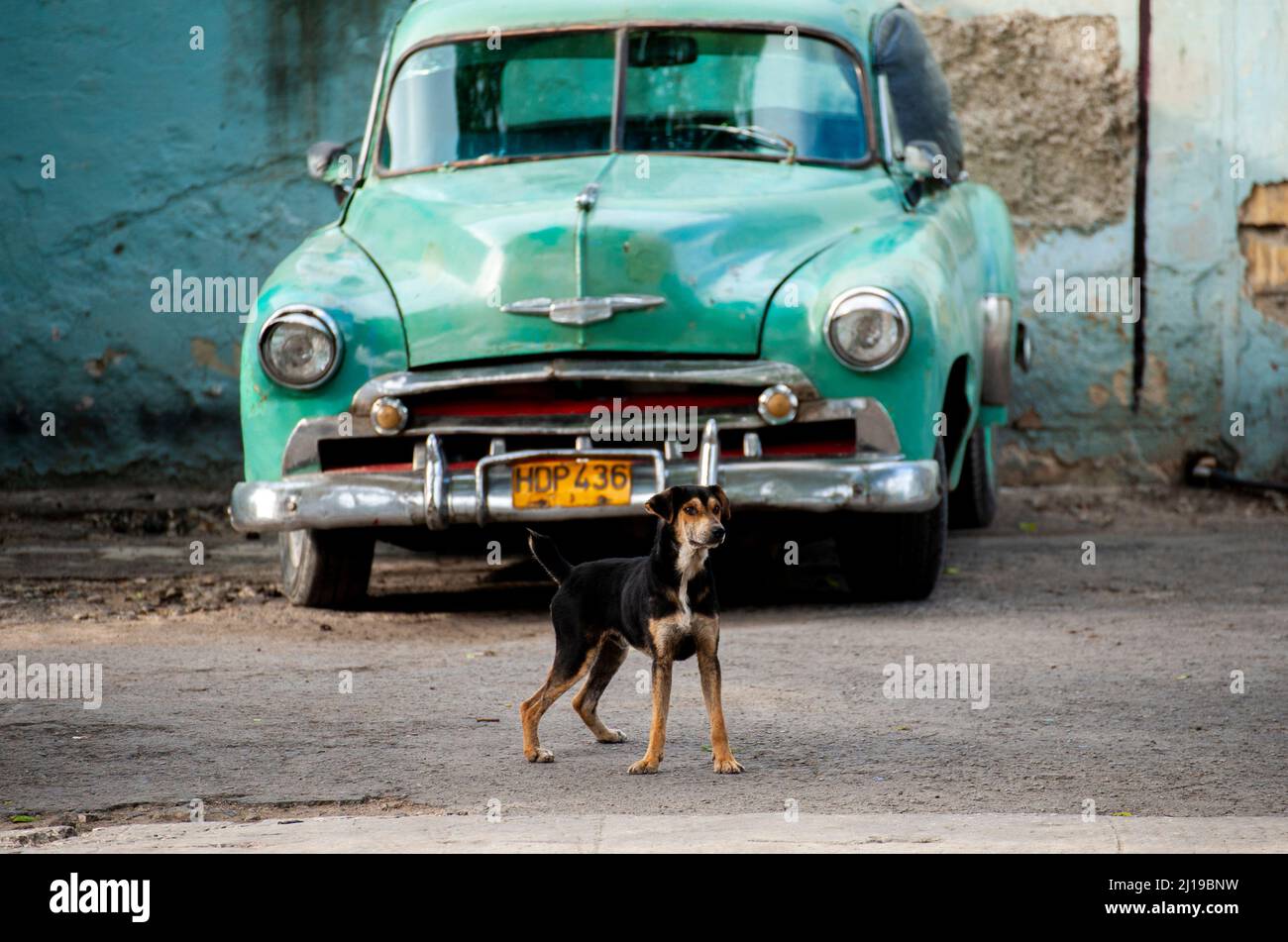 Havana libra hi-res stock photography and images - Alamy