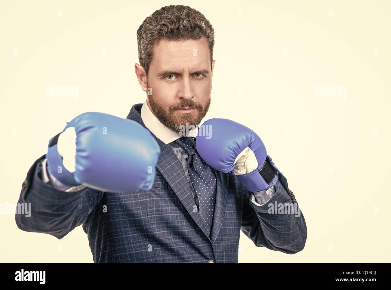 Fight is on. Boss wear boxing gloves. Standing in fighting position ...