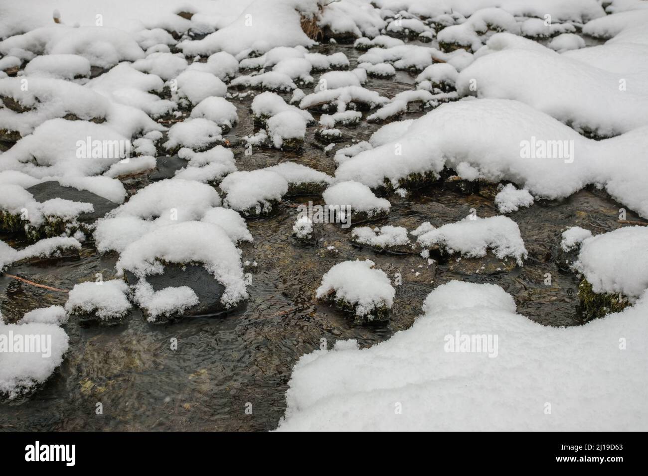 A forest stream in the snow in winter Stock Photo - Alamy