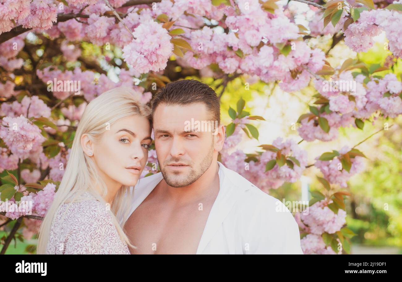 Spring couple in love walking in sakura park and looking cherry ...