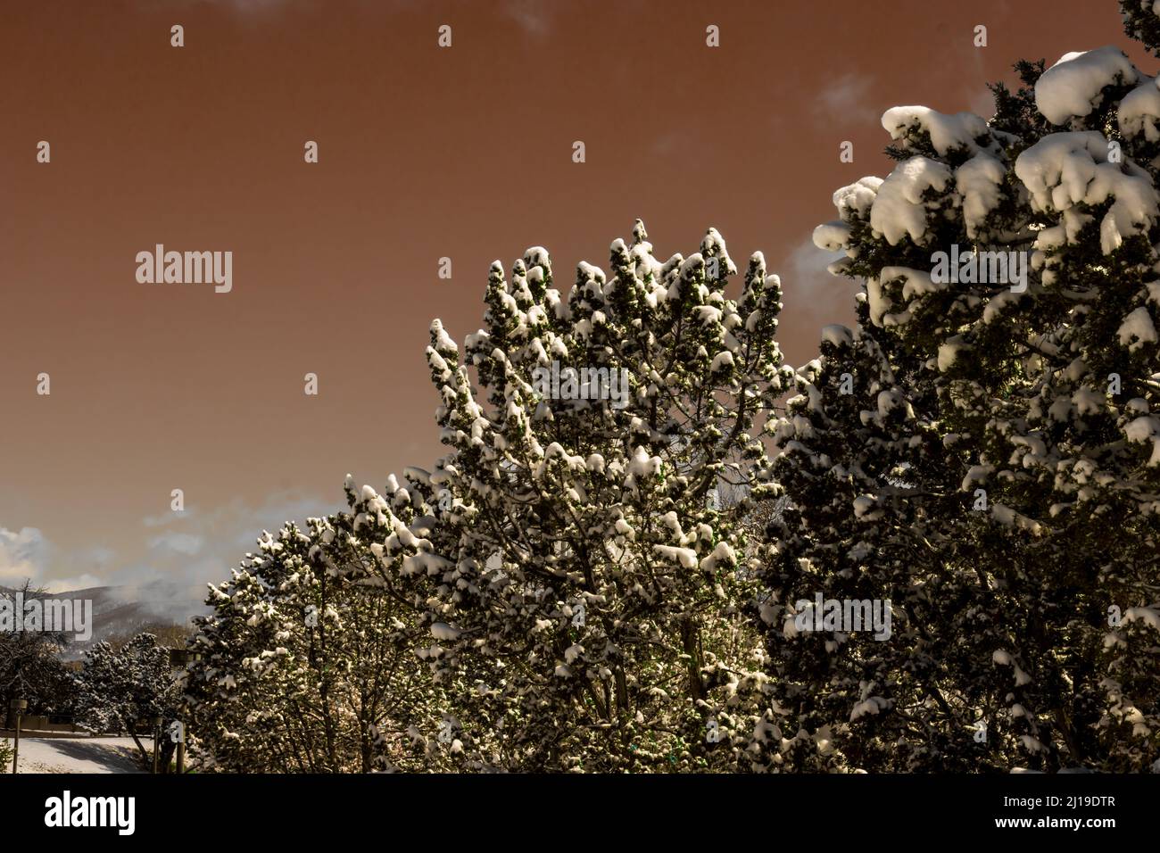 Trees and mountains under a brownish and maroon sky Stock Photo - Alamy