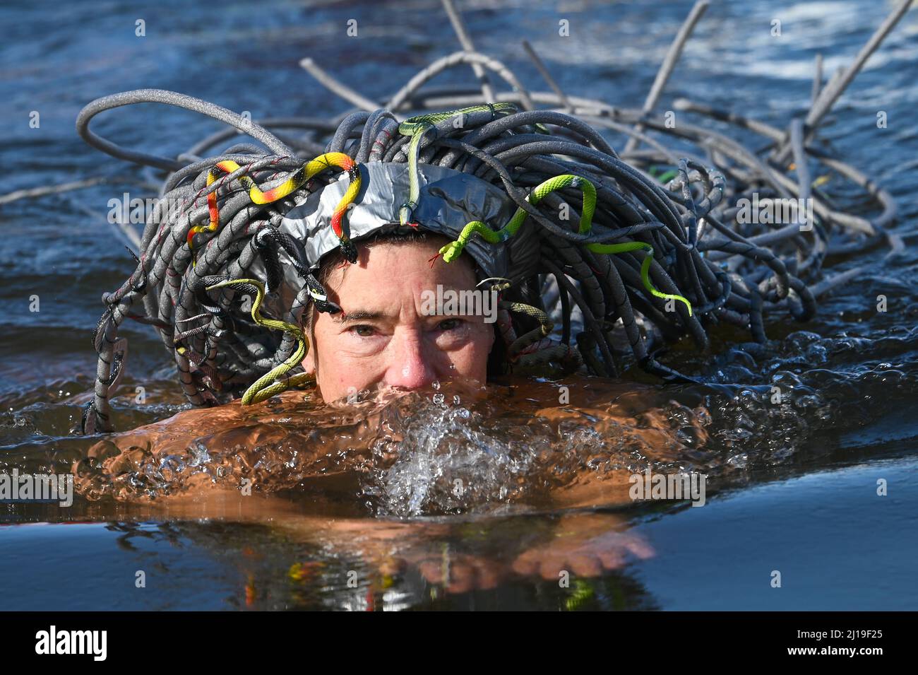 Cold water swimmers swim in the icy water of Lake Memphremagog near the ...