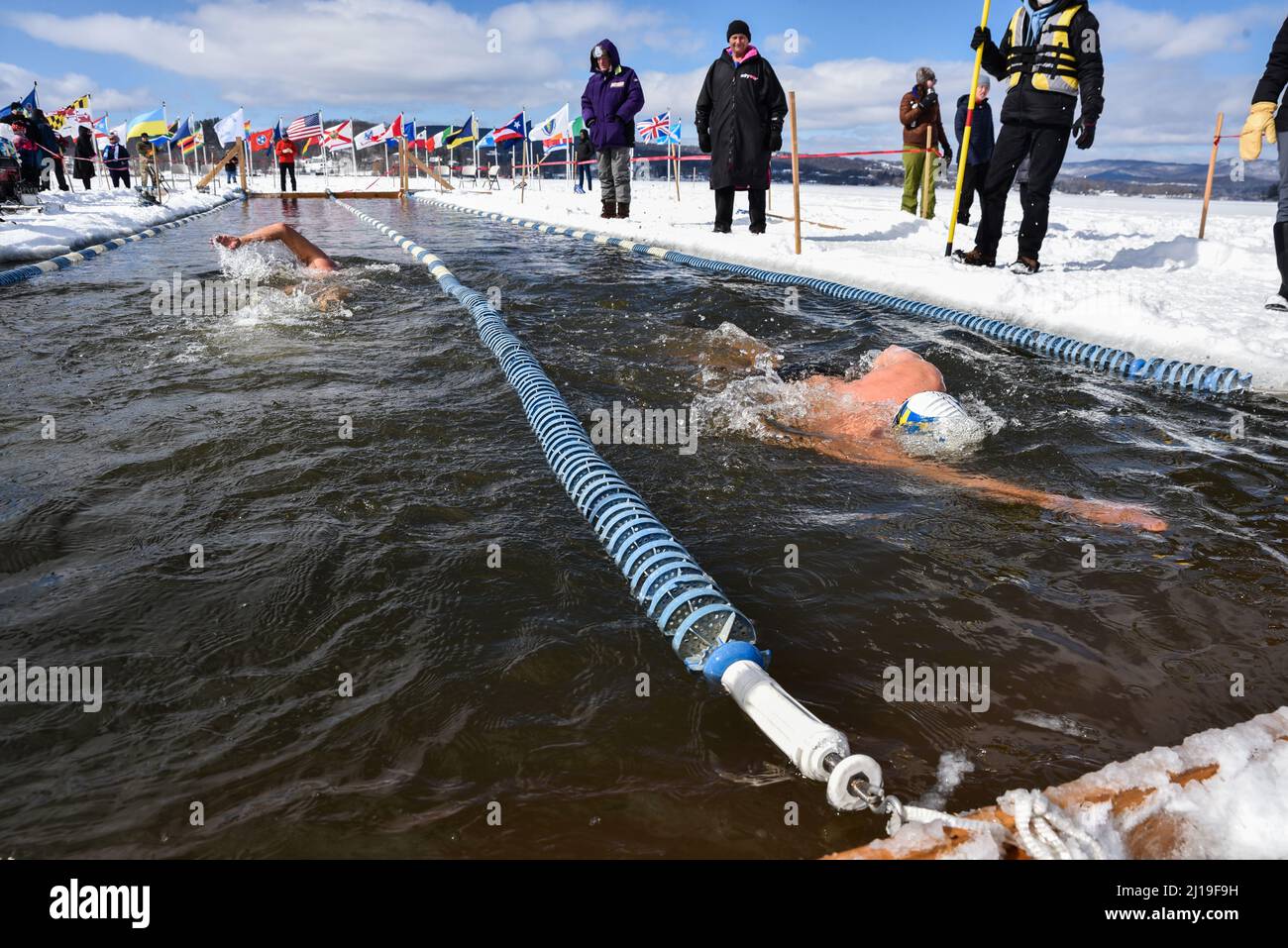 Cold water swimmers swim in the icy water of Lake Memphremagog near the ...