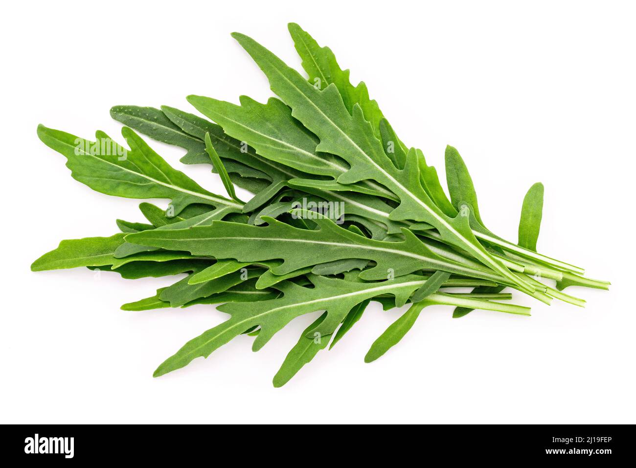 Arugula leaves isolated on white background. Closeup fresh wild rocket ...