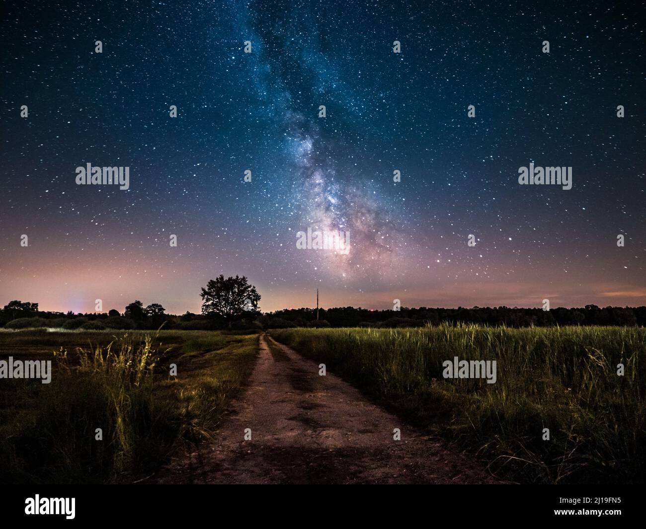 A breathtaking view of a starry blue and purple sky above a path in a ...