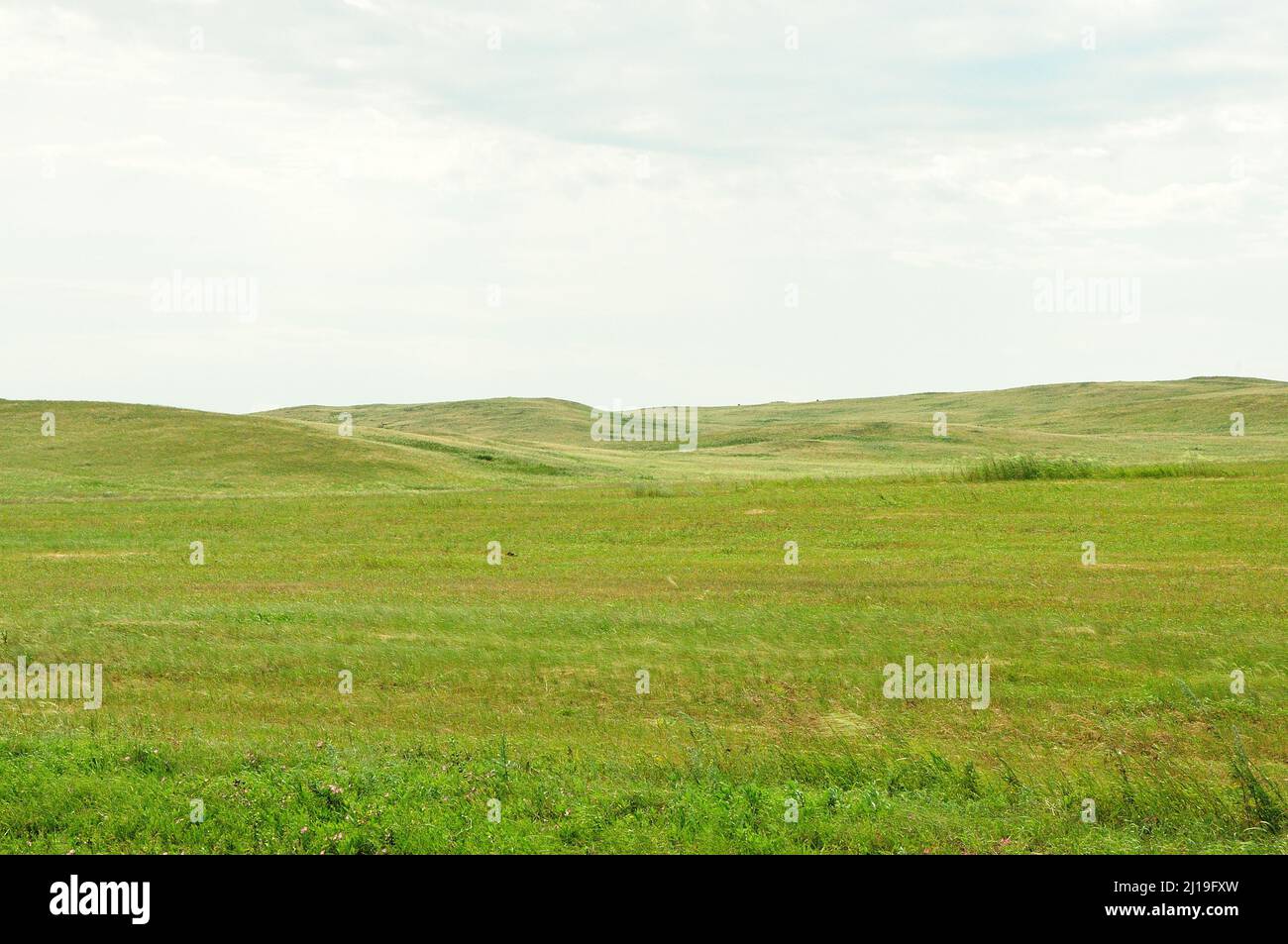 Hilly fields of cut grass under a summer cloudy sky. Khakassia, Siberia ...