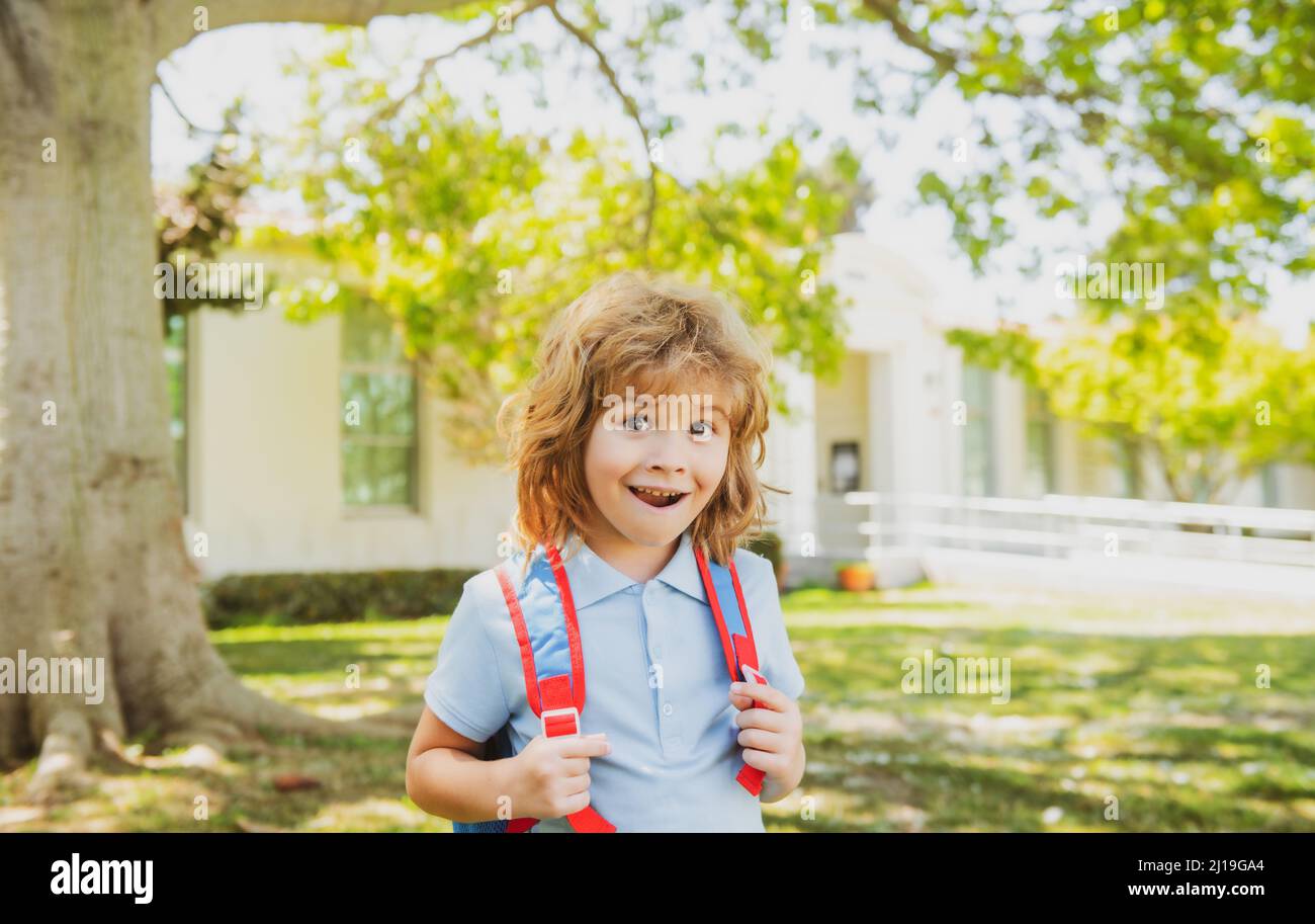Pupil of primary school with book in hand. Schoolboy with backpack near ...
