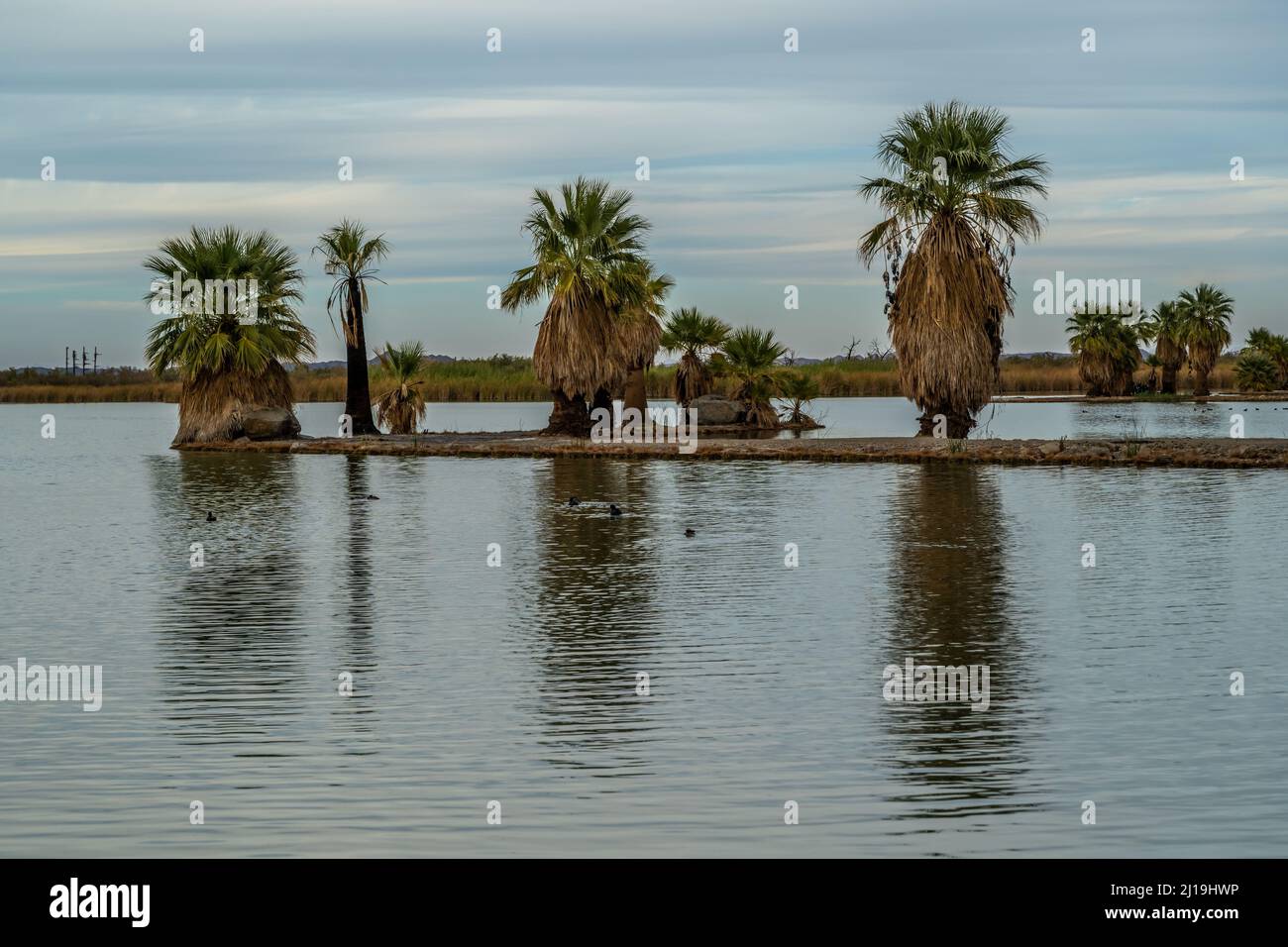 A beautiful overlooking view of nature in Yuma, Arizona Stock Photo - Alamy