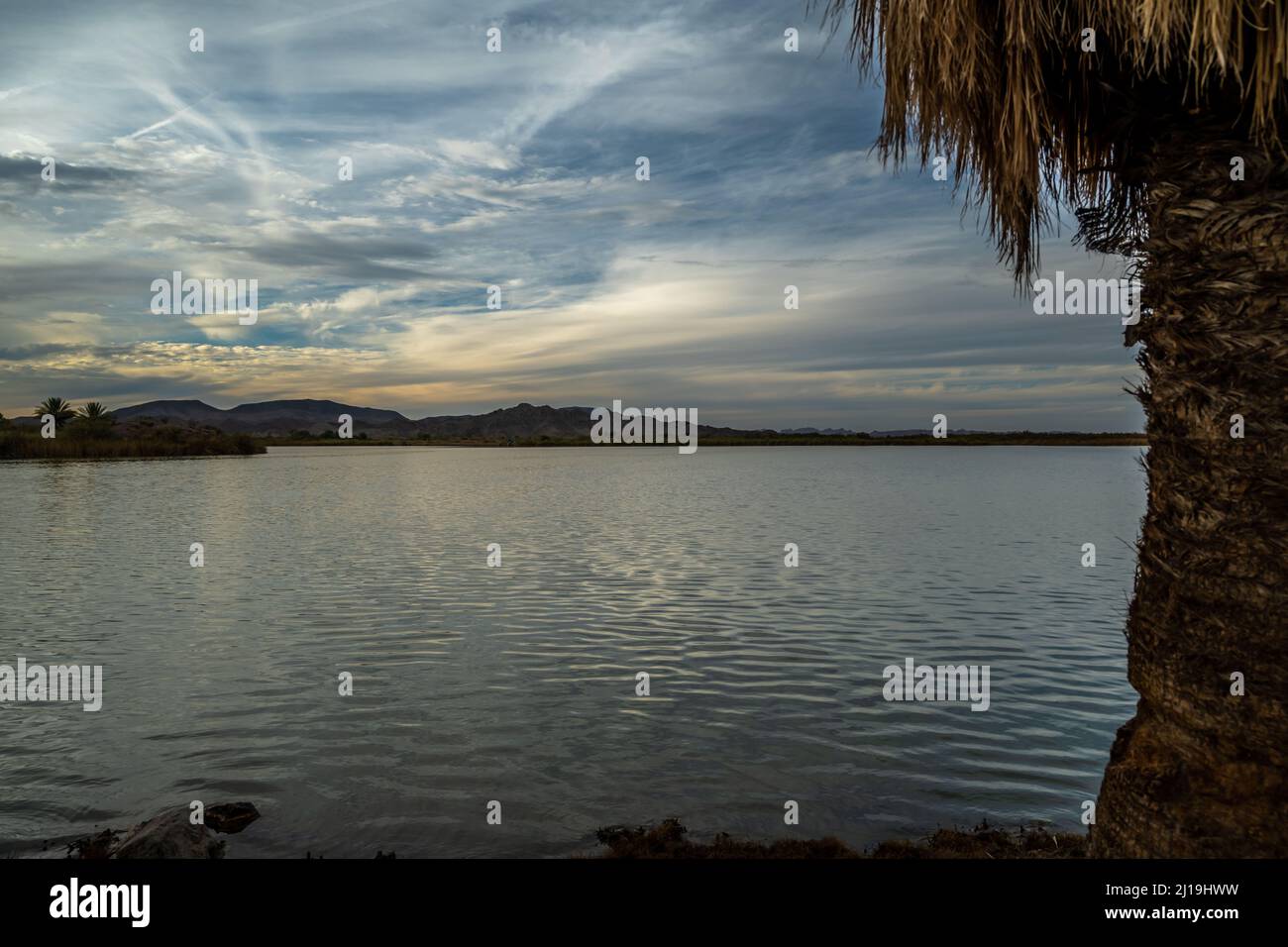 A beautiful overlooking view of nature in Yuma, Arizona Stock Photo - Alamy