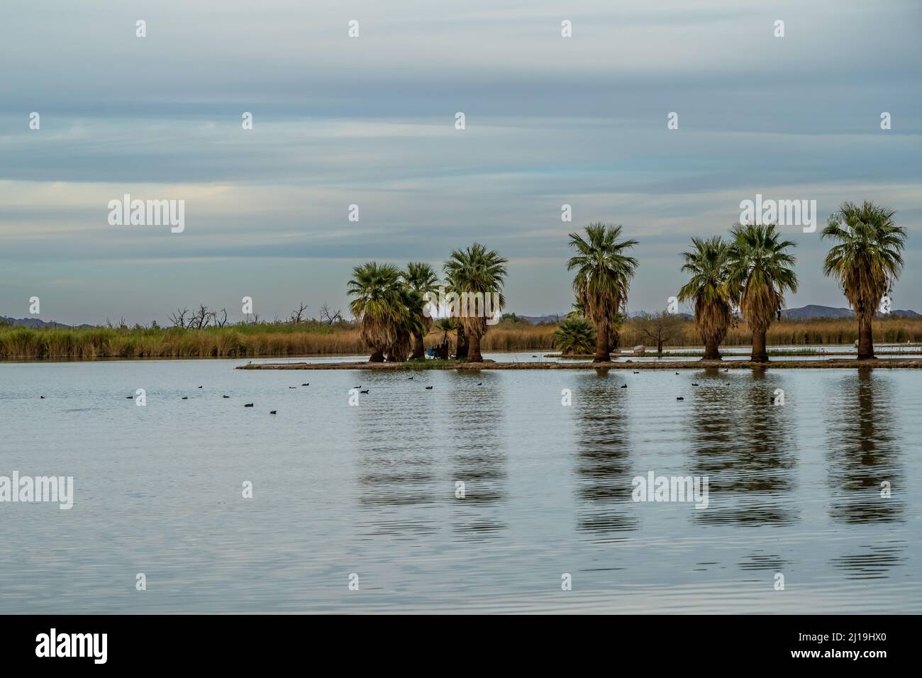 A beautiful overlooking view of nature in Yuma, Arizona Stock Photo - Alamy