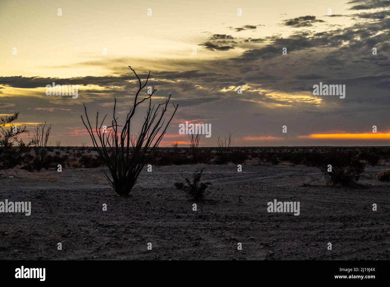 Dramatic vibrant sunset scenery in Yuma, Arizona Stock Photo - Alamy