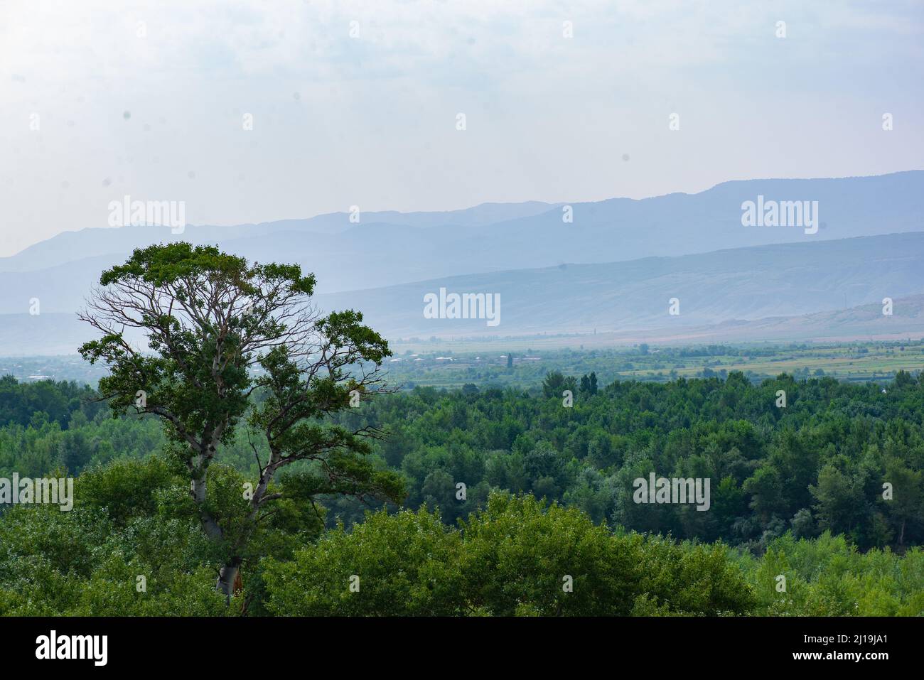 beautiful landscapes of nature in georgia in summer Stock Photo - Alamy