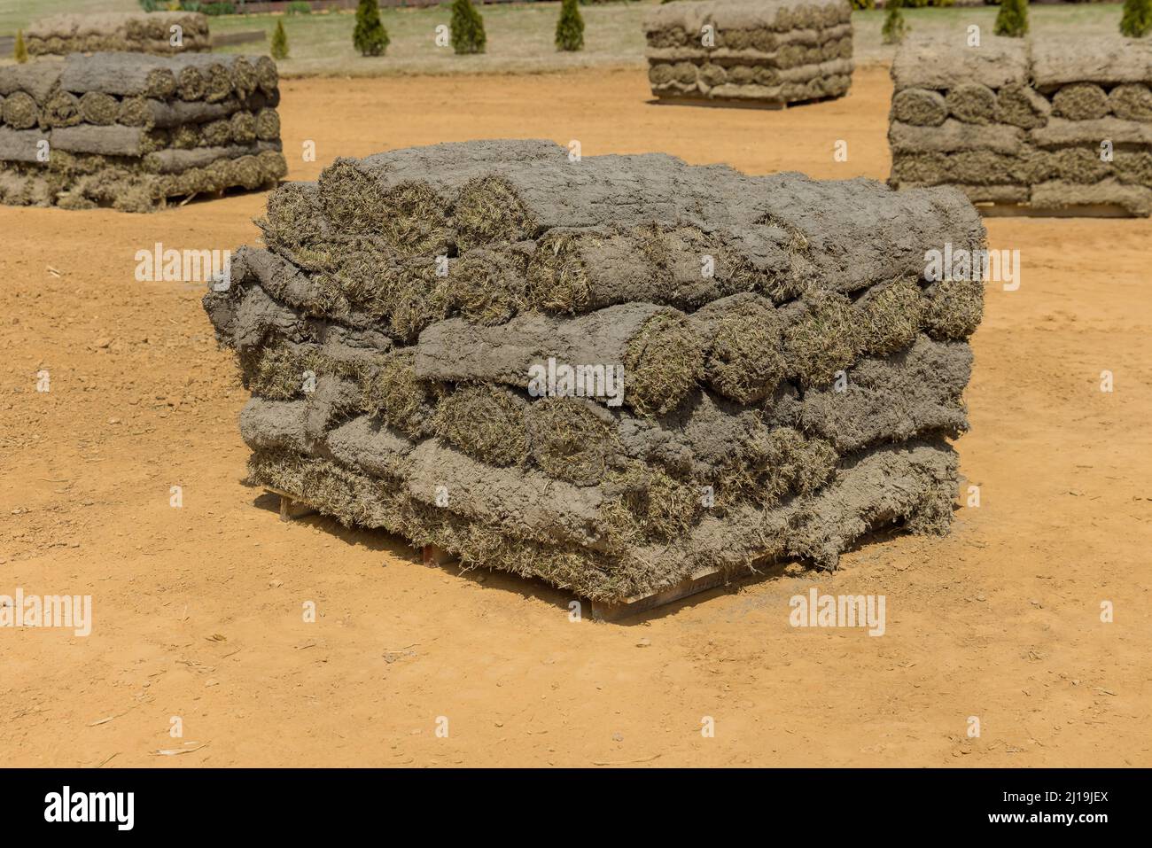 Stack of turf grass rolls for a lawn fresh grass to decorate landscape ...